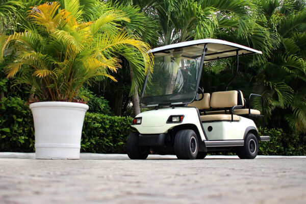A Closer Look At Golf Cart Dimensions And Why Size Matters • Bunce ...